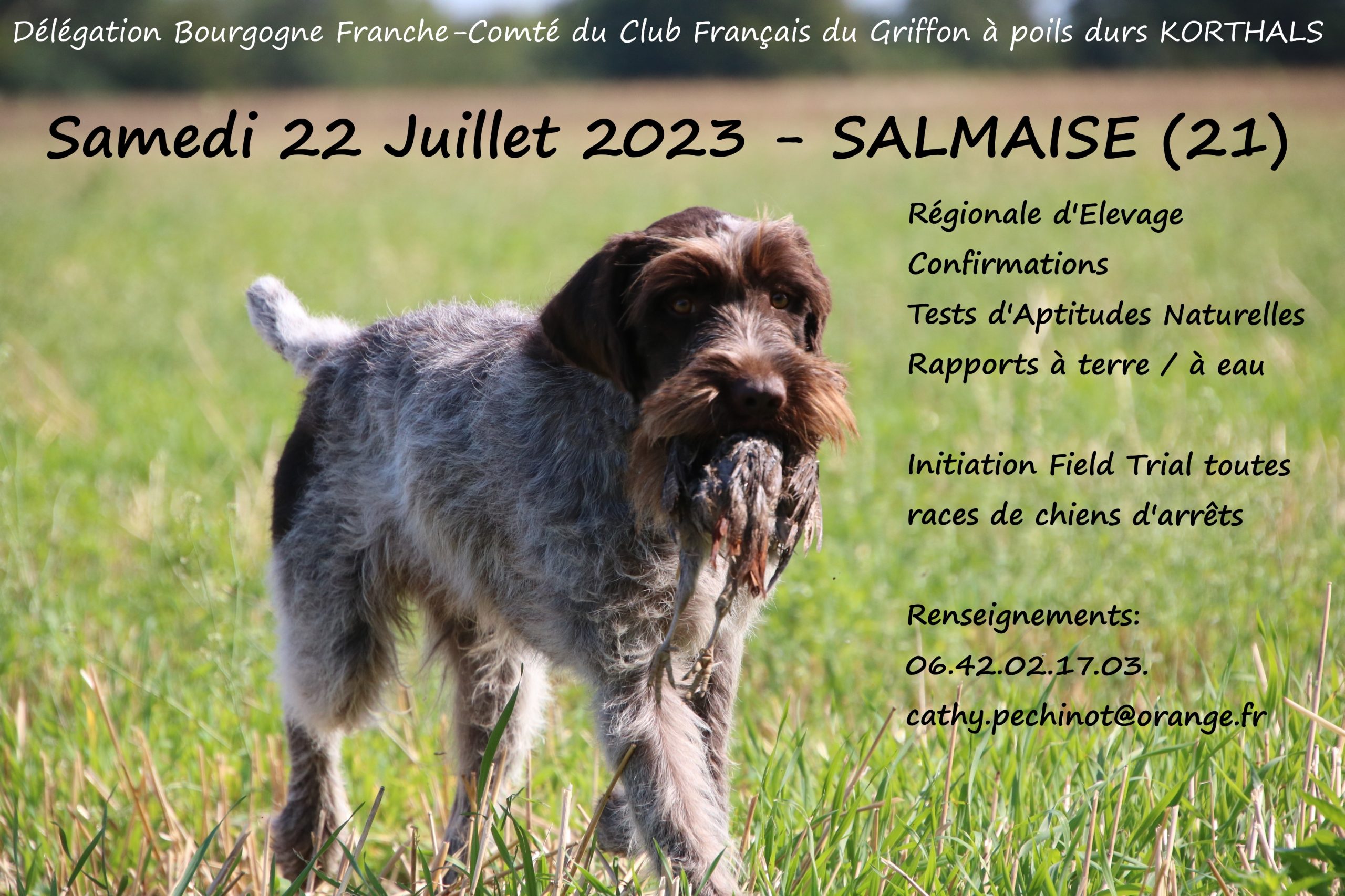 Journée Griffon Korthals et Chiens d'arrêt Salmaise le 22 juillet 2023 ...