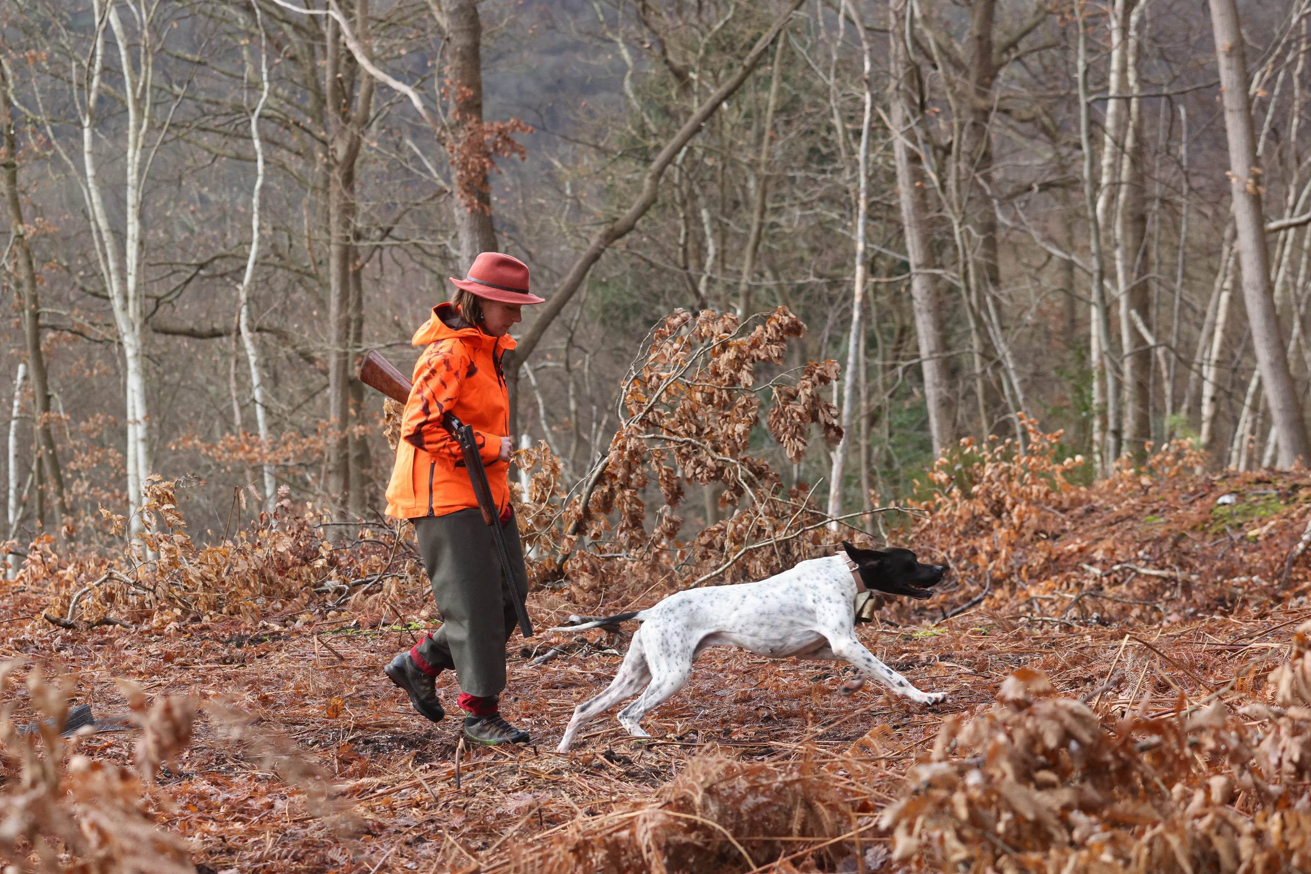 Validation en ligne à partir du 03 juin ! ️ - FDC21