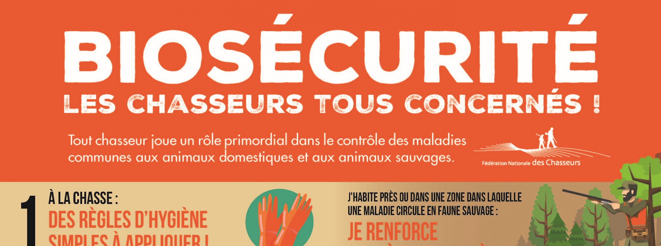 Biosécurité : les chasseurs tous concernés ! - FDC21